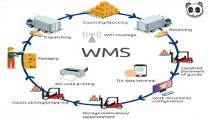WMS là gì? Khác biệt giữa hệ thống WMS và ERP