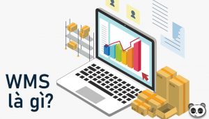 WMS là gì? Khác biệt giữa hệ thống WMS và ERP